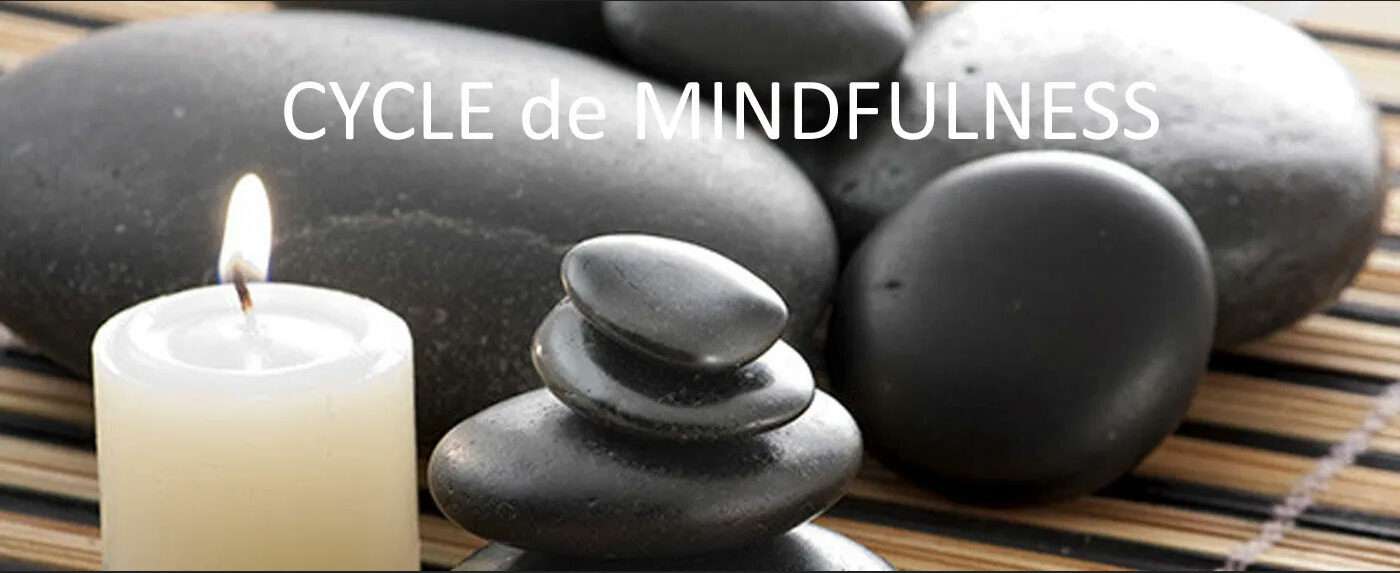 CYCLE de MINDFULNESS (MBSR) – Institut de Coaching