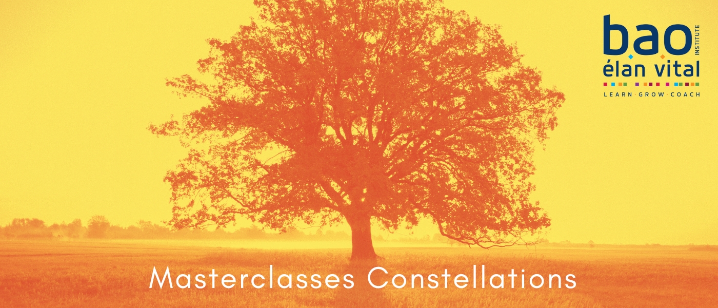 Masterclasses Constellations pour Coachs - Elan Vital Training & Coaching
